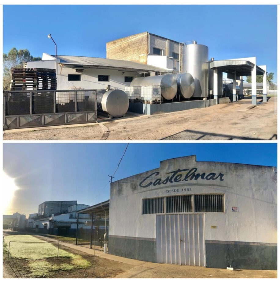 DESDE 1953: la Industria Láctea CASTELMAR cumple 70 años de vida – Mirada Central